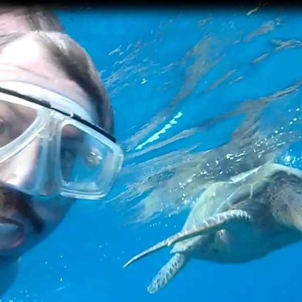 Persephone's Pearls, Poseidon's Pearls, Percy Jackson and the Olympians ...