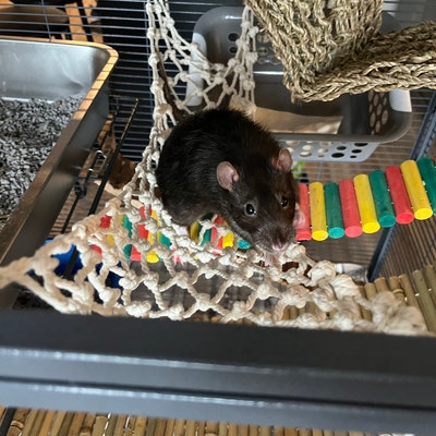 Handmade Rope Ladders/nets - Etsy