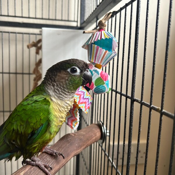 Pine Parrot Foraging Toy: Chippable Wood Blocks (baffle) - Etsy