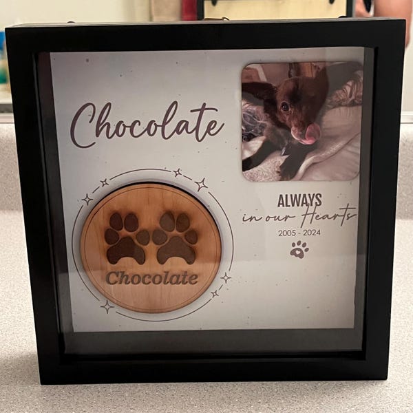 Custom Dog Memorial Shadow Box, Pet Paw Print Frame Pet Bereavement ...