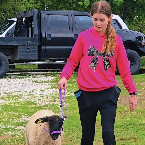 LAMB HALTER | "duo" | Stock Show | Show Lamb | - Etsy