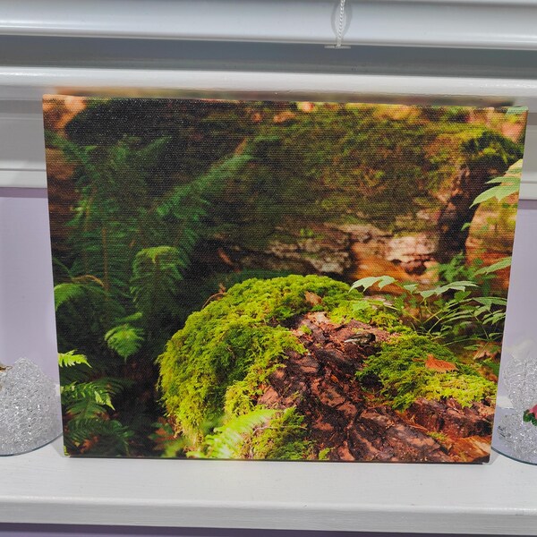 Rainforest Tree Leaves Matte Canvas, Stretched, 0.75, Plant Lovers ...