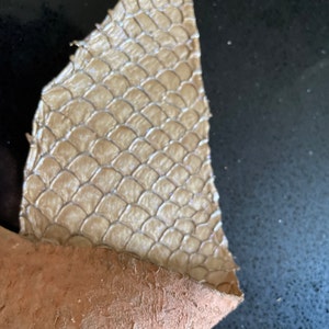 Authentic Tilapia Fish Skin Hide Leather Craft Supply - Etsy