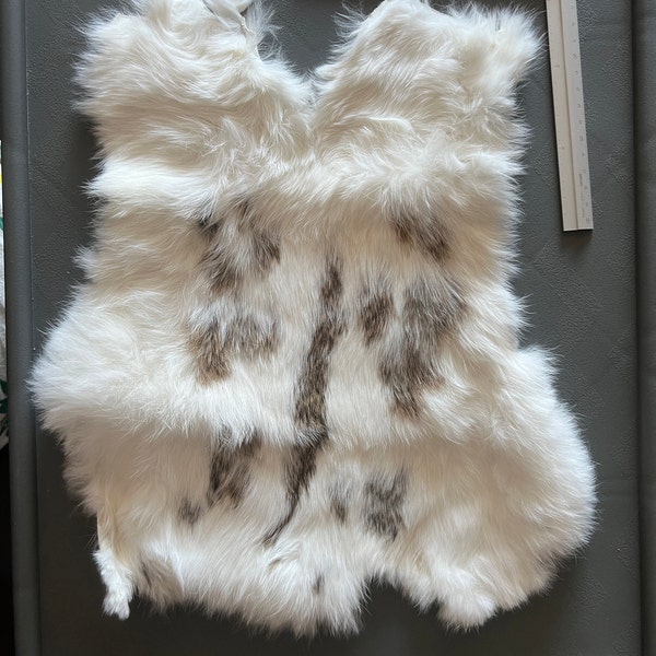 Throwing the Bones Book & Kit 129 Pgs and 15 Pc Learn to Throw the ...