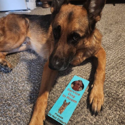 You Rock Rocks / Rock Star / Thank You Gift /staff Appreciation Rocks ...