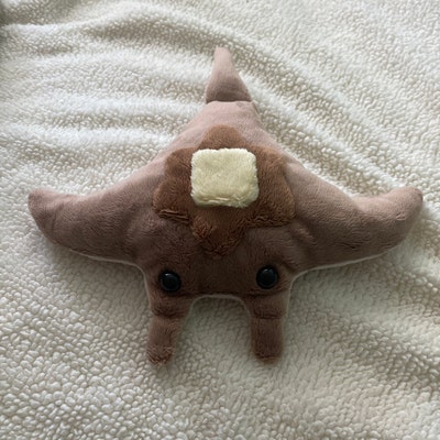 Sea Pancake Manta Ray Plush - Etsy