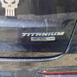 Gel Coated domed FORD Ecobeast AWD or Twin Turbo AWD Emblem Overlay ...