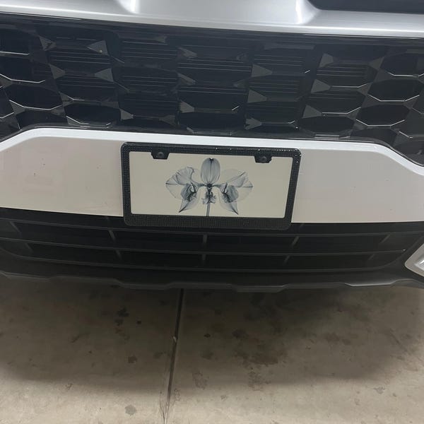 Skull & Red Roses License Plate: Gothic Punk Car Decor - Etsy