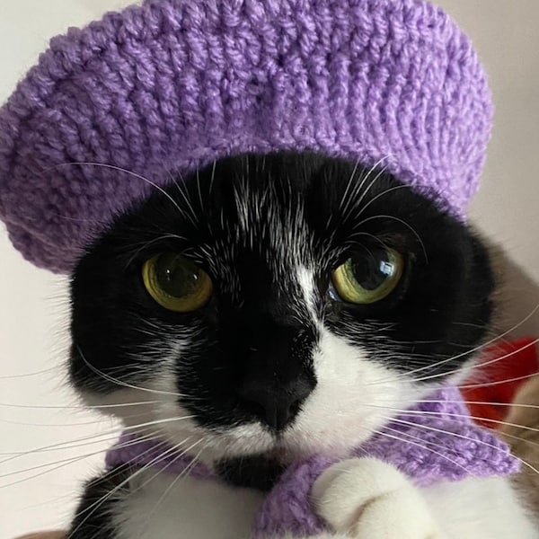 French Beret Hat and Scarf, Beret Hat for Cat, Cat Scarf, Purple Kitten ...