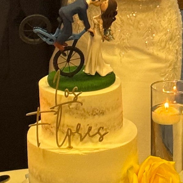 Geek Wedding Cake Topper Gamer Couple Players Anime Bride and Groom ...