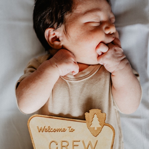 National Park Sign / Baby Name Sign / Last Name Sign / Wooden Name Sign ...