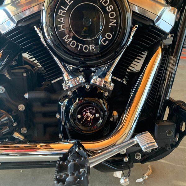 Harley Davidson Custom Made Derby Cover or Timing Cover (your Choice ...