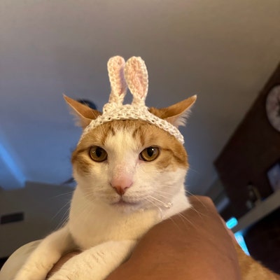 Crochet Pattern: Easter Bunny Ear Hat for Cats, Rabbit Ear Crochet ...