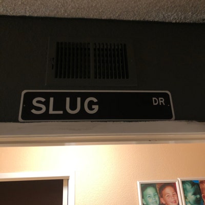 Slug, Slug Gift, Slug Sign, Slug Decor, Slug Lover, Shell-less ...