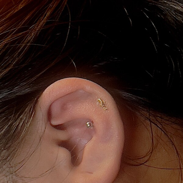 14k Solid Gold Koi Fish Cartilage Earring Tiny Tragus Stud Helix Conch ...