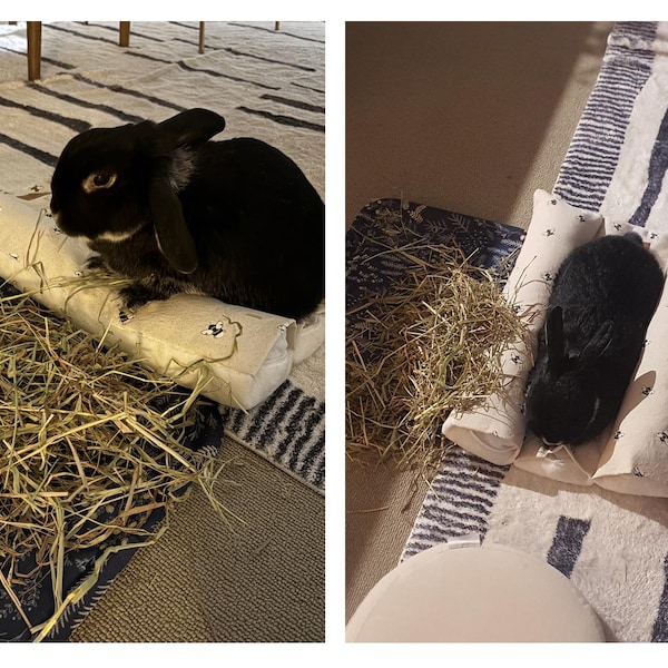 DIGITAL DOWNLOAD PLANS for Luxury Bunny Cubby | Rabbit Cat Home Base ...