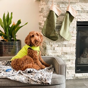 Fast Shipping Mask From US Face Mask Reusable Face Mask | Etsy