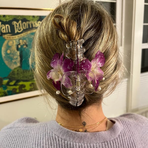Real Hawaiian Crown Flower Lei, Puakalaunu, Preserved Flowers, Dried ...