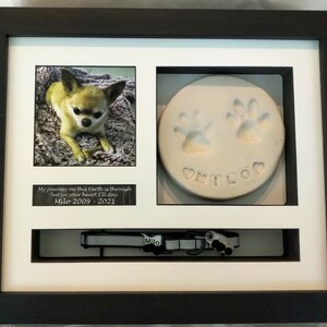 Solid Wood Pet Ashes Frame 8x8 20.3x20.3cm | Etsy