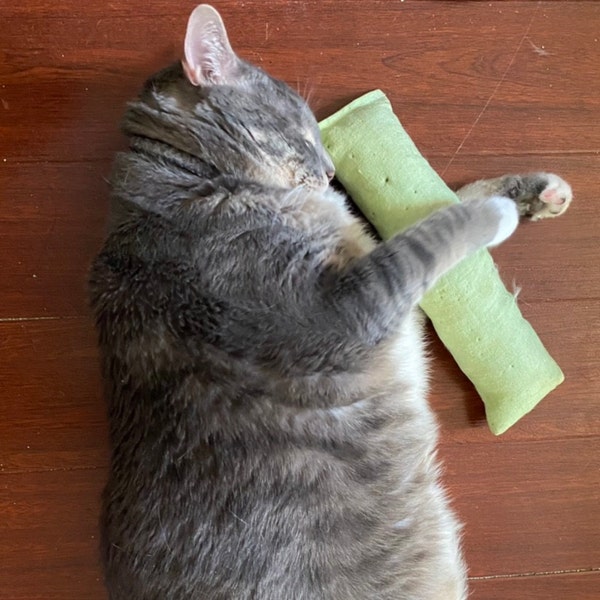 Catnip Buds 4 Oz Bundle / Pure Cat Fun / Made and Organically Grown in ...