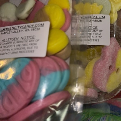 Large UNDER the SEA Mix: 16oz. Gummy Mix With Ocean Creatures and ...