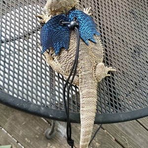 Leather Lizard Harnesswater Dragon With Wings - Etsy