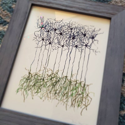 Neuron 2, Neurons, Neurology, Art Print, Neuron Print, Science, Science ...
