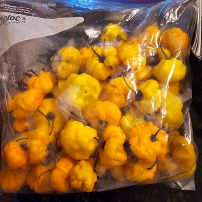 Whole Fresh Scotch Bonnet Peppers. Fresh Pods of Genuine Scotch Bonnets ...