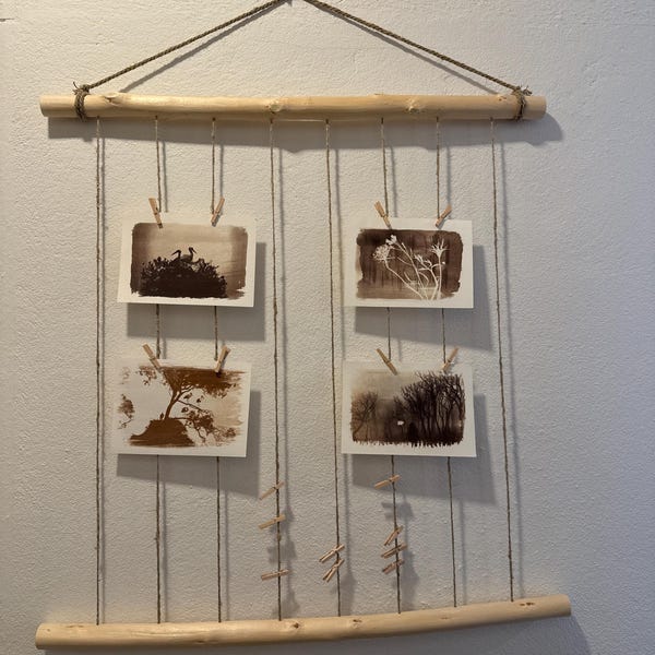 Debarked Wood Sticks Thin Macrame Hanging Dowel Different Sizes for ...