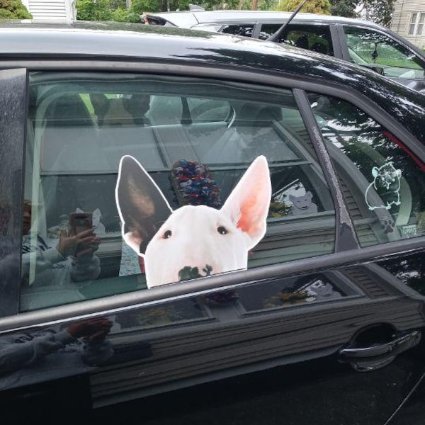 Peeking Border Collie Car Sticker Decal / Realistic Black&white Dog ...