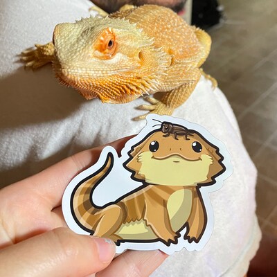 Super Kawaii Bearded Dragon With a Cricket Adorable Kawaii Reptile ...