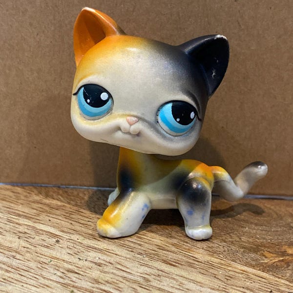 Littlest Pet Shop LPS Teal Zippered Soft Vinyl Carrying Case Collector ...