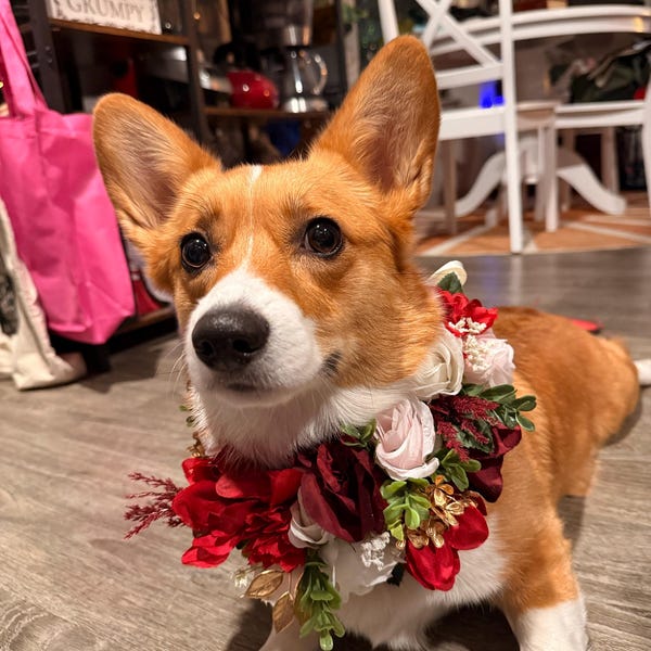 100% CUSTOM Pet Flower Collar, Flower Crown, Pet Wreath • Faux Florals ...