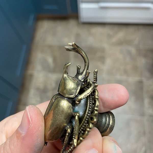 Unique Brass Beetle Knobs Insect Drawer Handles Animal Knobs Brass ...