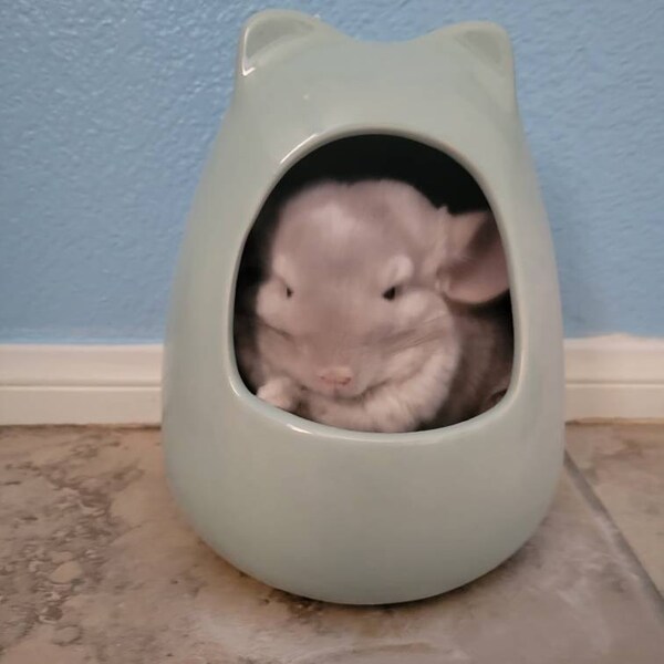 Large Ceramic House- Chinchilla House - Etsy
