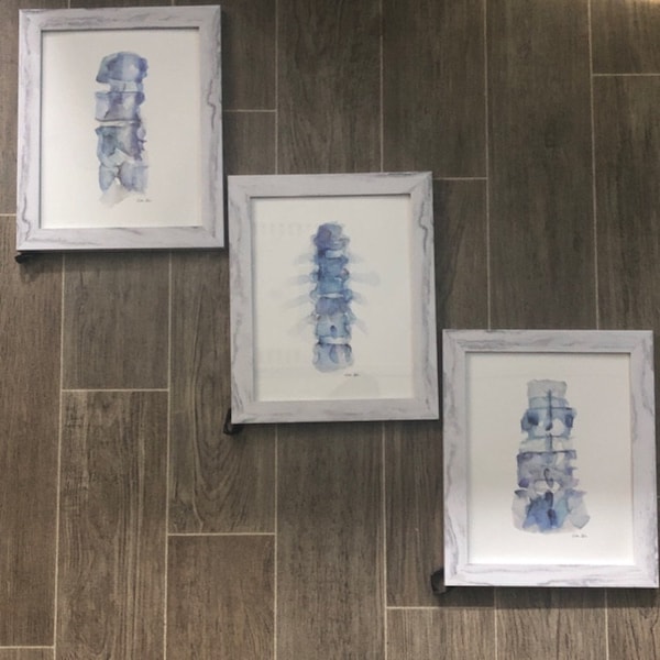 Blue Spine Print Series of 3 - Anatomy Art Set - 3 Watercolor Prints - Etsy