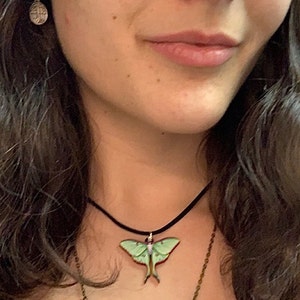 Velvet Spider Sticker 3.5 Inch Glossy Sticker Ladybird | Etsy