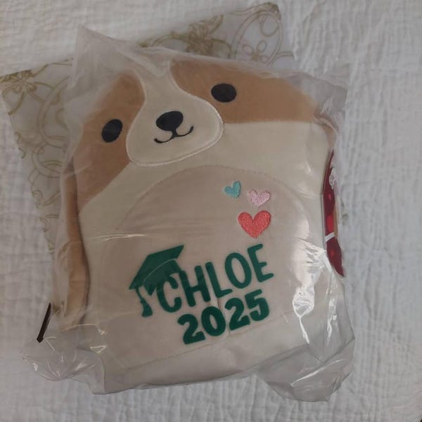 Personalized Graduation Squishmallows Class of 2025, Custom Name Plush ...
