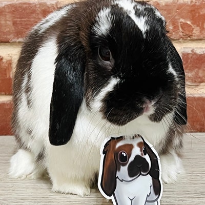 Broken Chocolate Tort Lop Rabbit Sticker Printed Chibi Bunny Vinyl ...