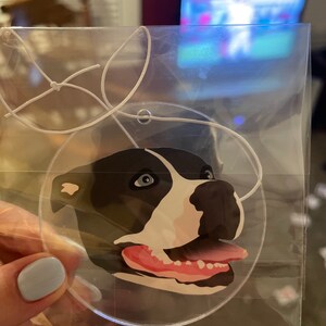 Pi Beta Phi Sticker Pack Pi Phi Sticker Pack Pi Beta Phi | Etsy