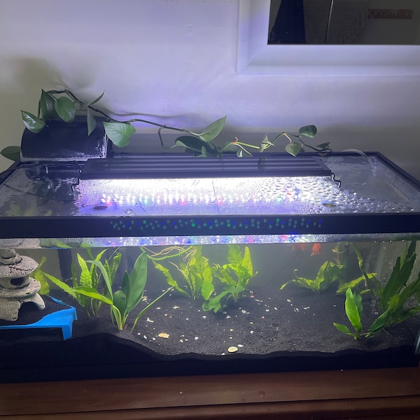 20 Gallon Long Reversible Polycarbonate Aquarium Lid. Tank NOT Included ...