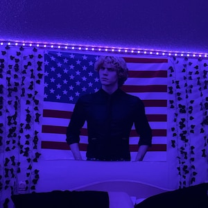 Pedro Pascal American Flag Pedro Pascal Wall Tapestry in Daddy We Trust ...