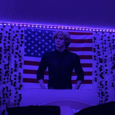 Pedro Pascal American Flag Pedro Pascal Wall Tapestry in Daddy We Trust ...