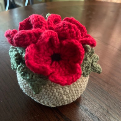 Crochet Spider Plant - Etsy