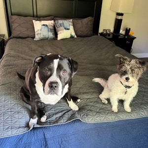 12 Dog Bed Mattress Extender Kit Dog Bed Extension of Human Mattress ...