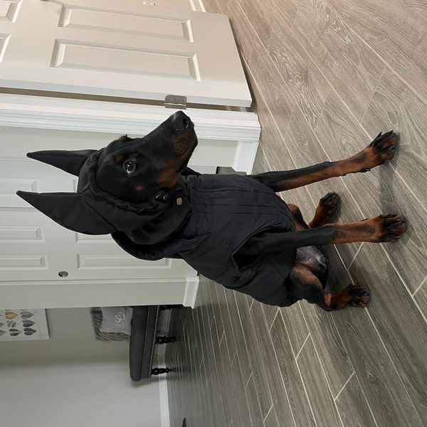 Pet Gift Werewolf Dog Muzzle Scary Doberman Muzzle Bloodless Painted ...