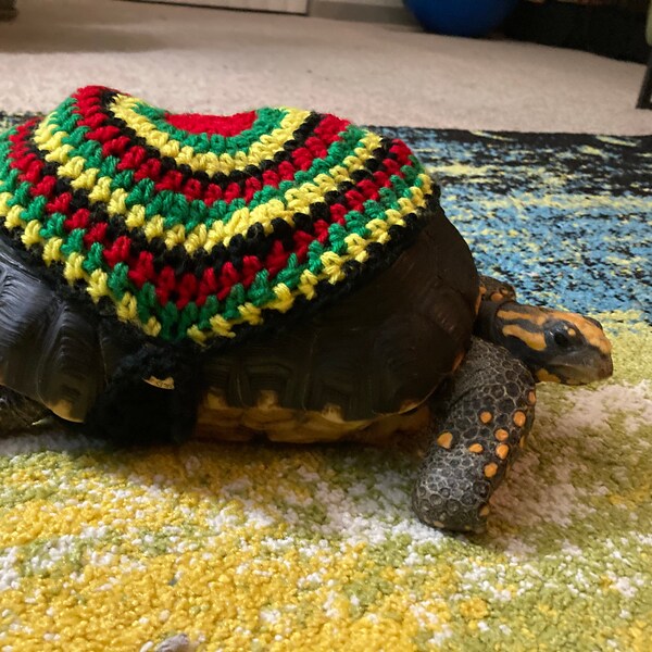 Tortoise/turtle Sweater, Pet Jacket, Pet Costume, Pet Sweater, Cozy ...