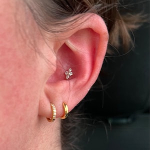 14k Yellow Gold Conch Labret Top Internally Threaded Titanium - Etsy