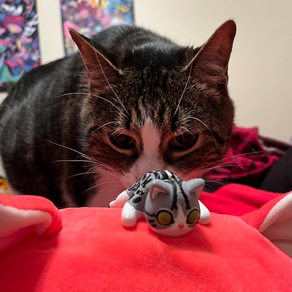 Flexi Chicken Articulated Chicken Fidget Toy Designed by Zou3d - Etsy