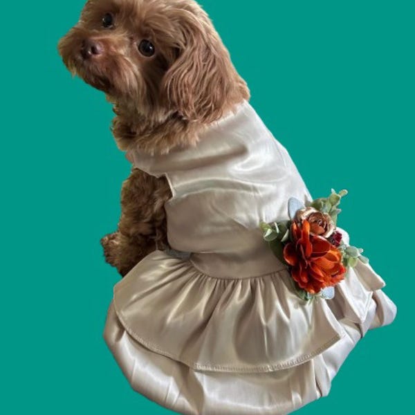 Succulent Wedding Collar | Succulent Flowers | S M L XL XXL | Flower ...